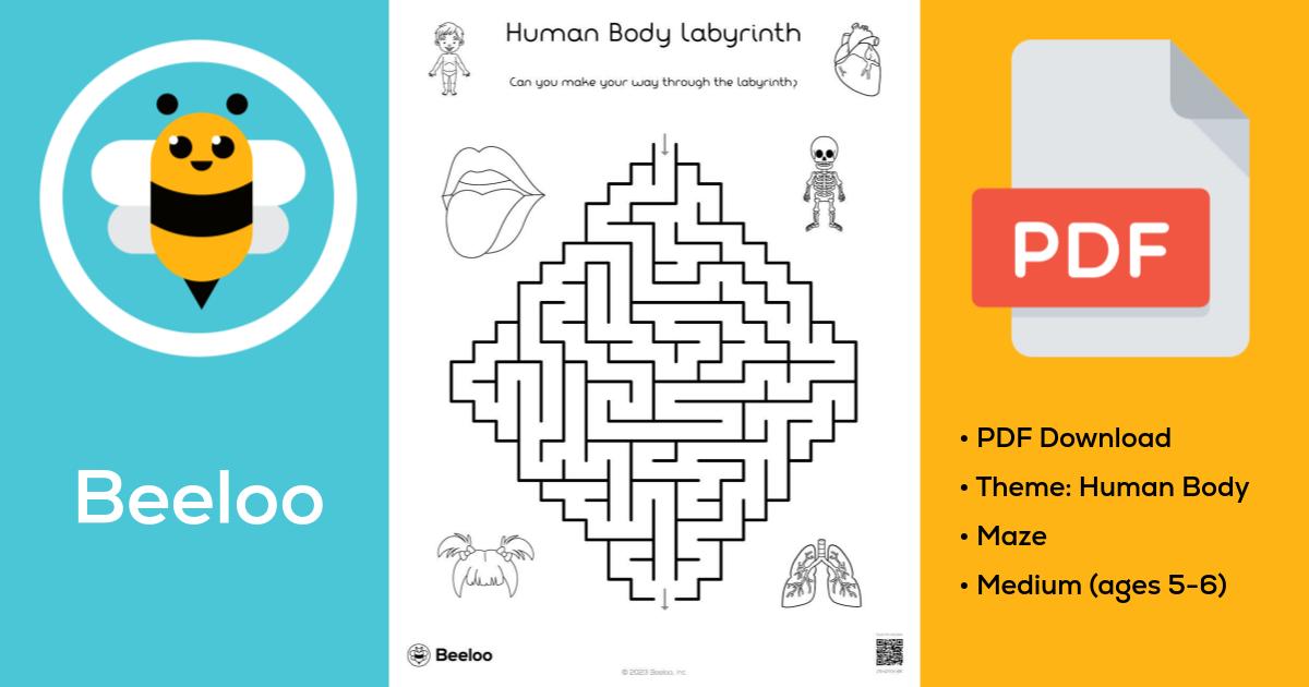Human Body Labyrinth • Beeloo Printable Crafts and Activities for Kids