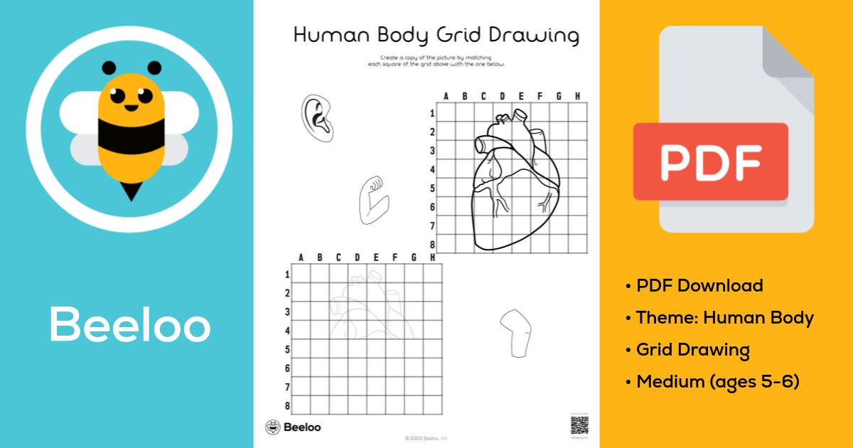 Human Body Grid Drawing • Beeloo Printable Crafts and Activities for Kids