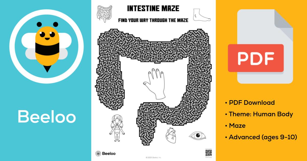 Intestine Maze • Beeloo Printable Crafts and Activities for Kids