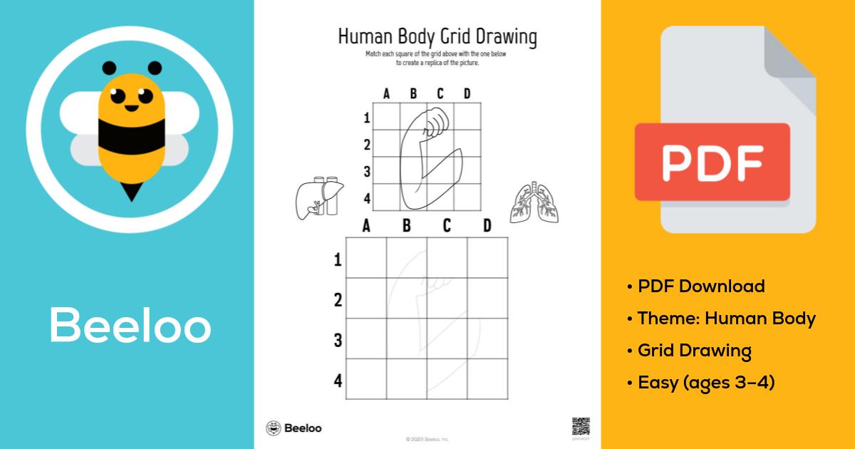 Human Body Grid Drawing • Beeloo Printable Crafts and Activities for Kids