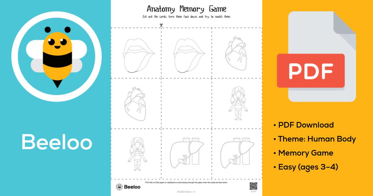 Anatomy Memory Game • Beeloo Printable Crafts and Activities for Kids