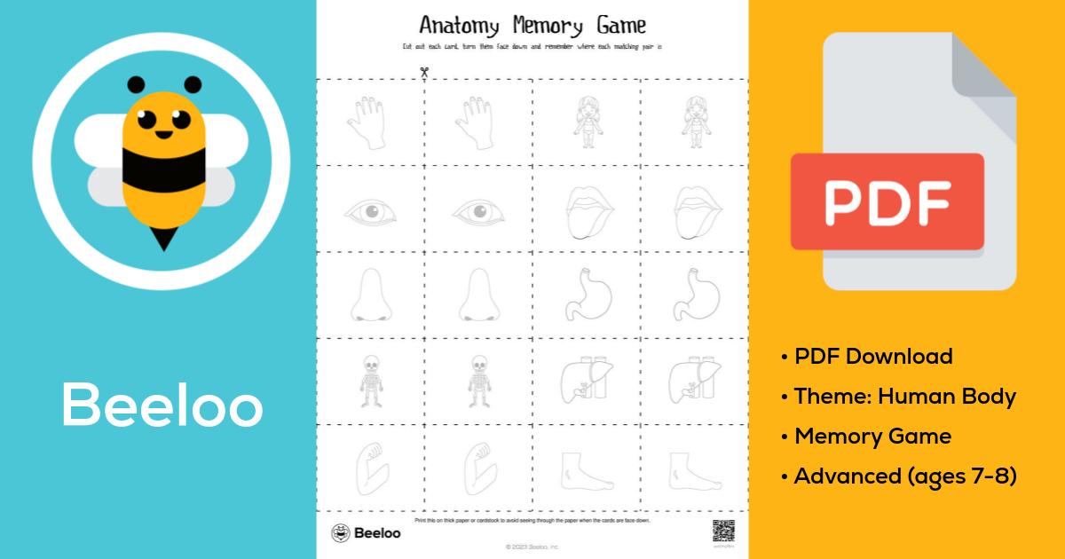 Anatomy Memory Game • Beeloo Printable Crafts and Activities for Kids